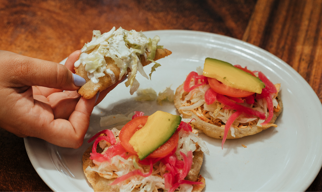 3 razones para visitar el Cenote Tsukán – Tsukán Santuario de Vida