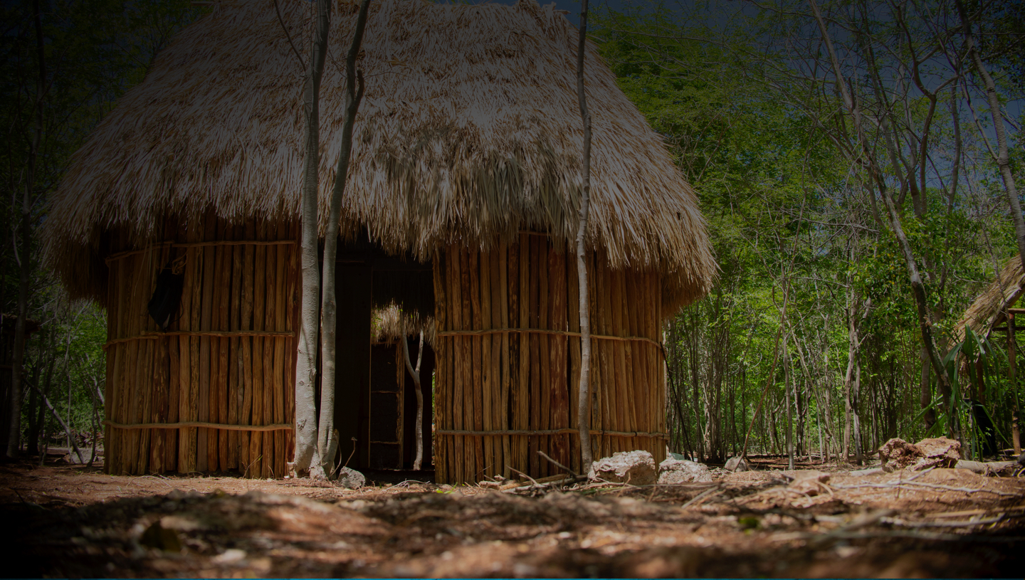 Tsukán Santuario de Vida | ¿Qué hacer en Yucatán? | Parques y ...