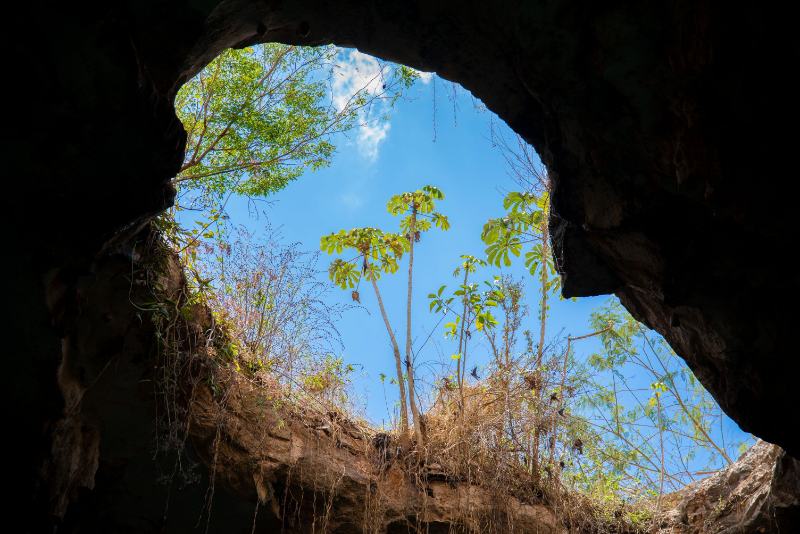 Paquete Tsukán Experiencias - Tsukan Santuario de Vida
